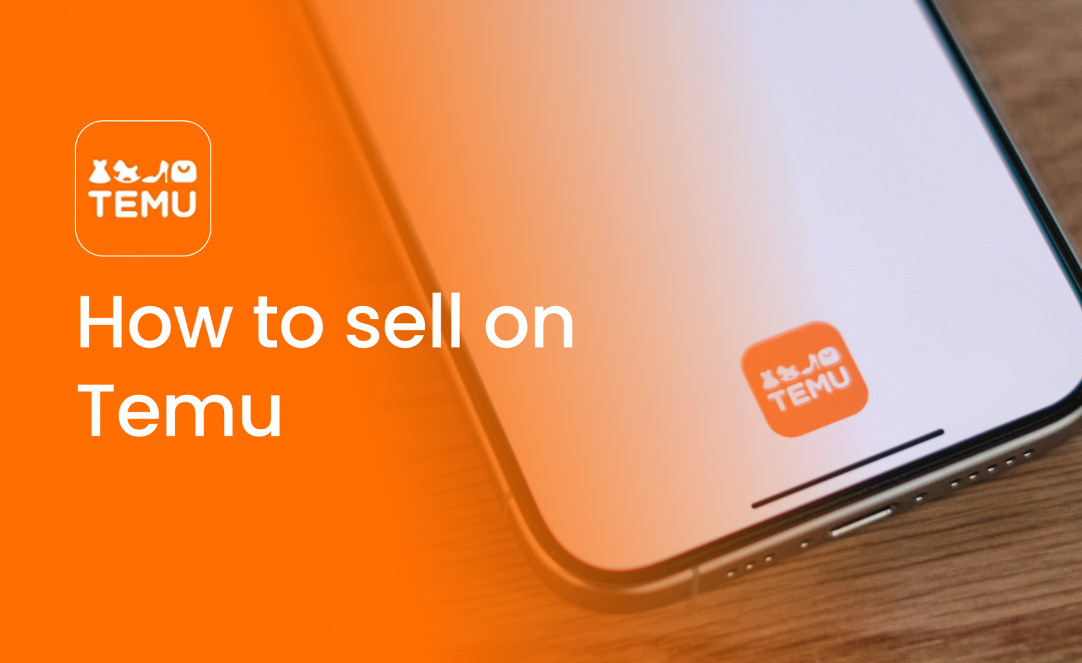 How to sell on Temu: A guide to global success | WorldFirst UK